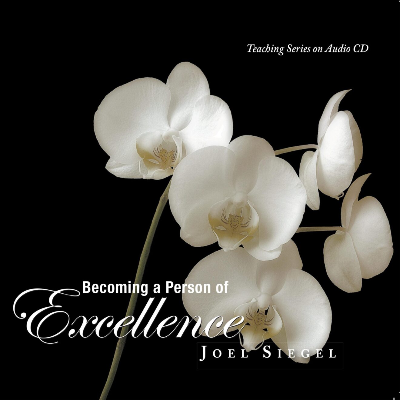 Becoming a Person of Excellence | Siegel Ministries