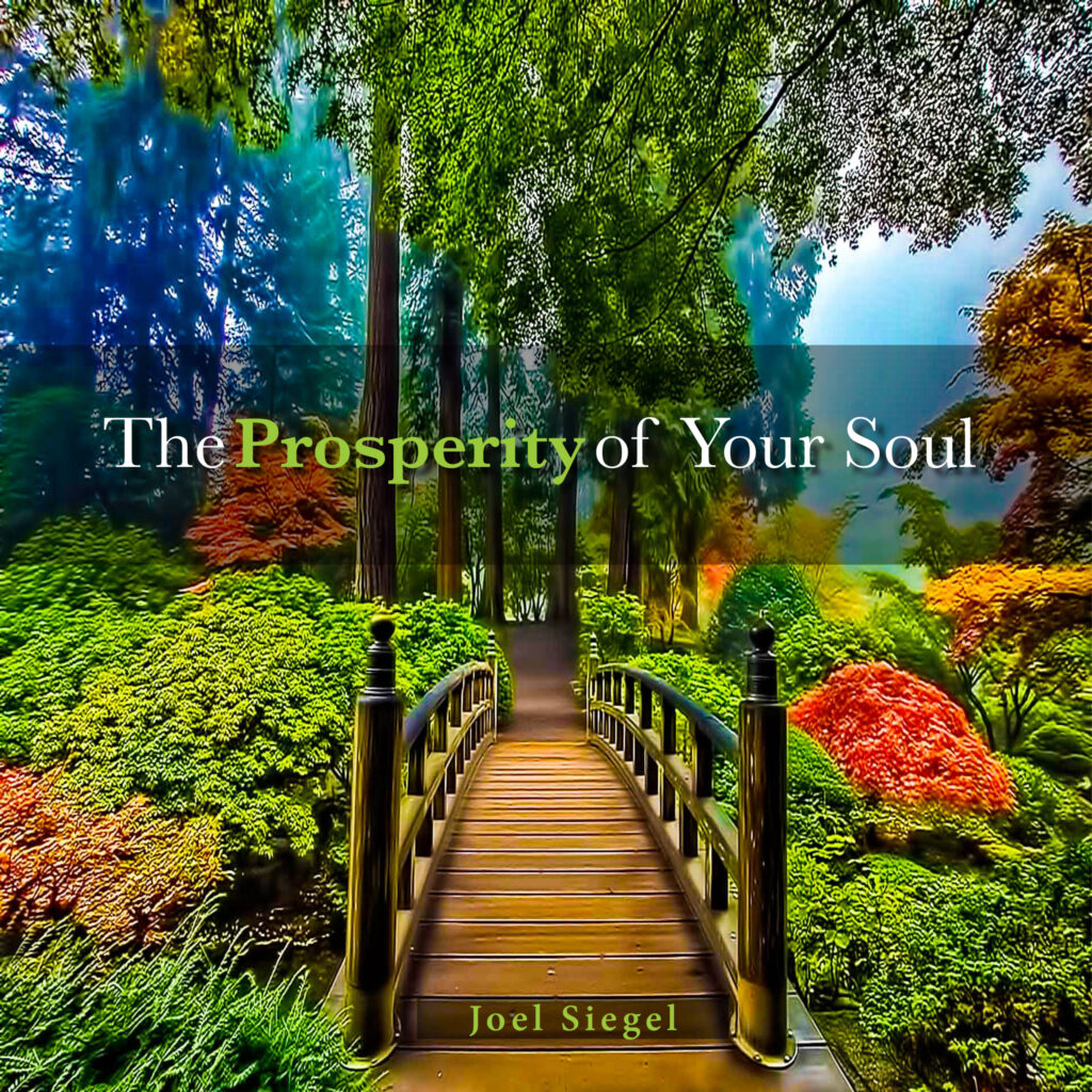 The Prosperity of Your Soul | Siegel Ministries